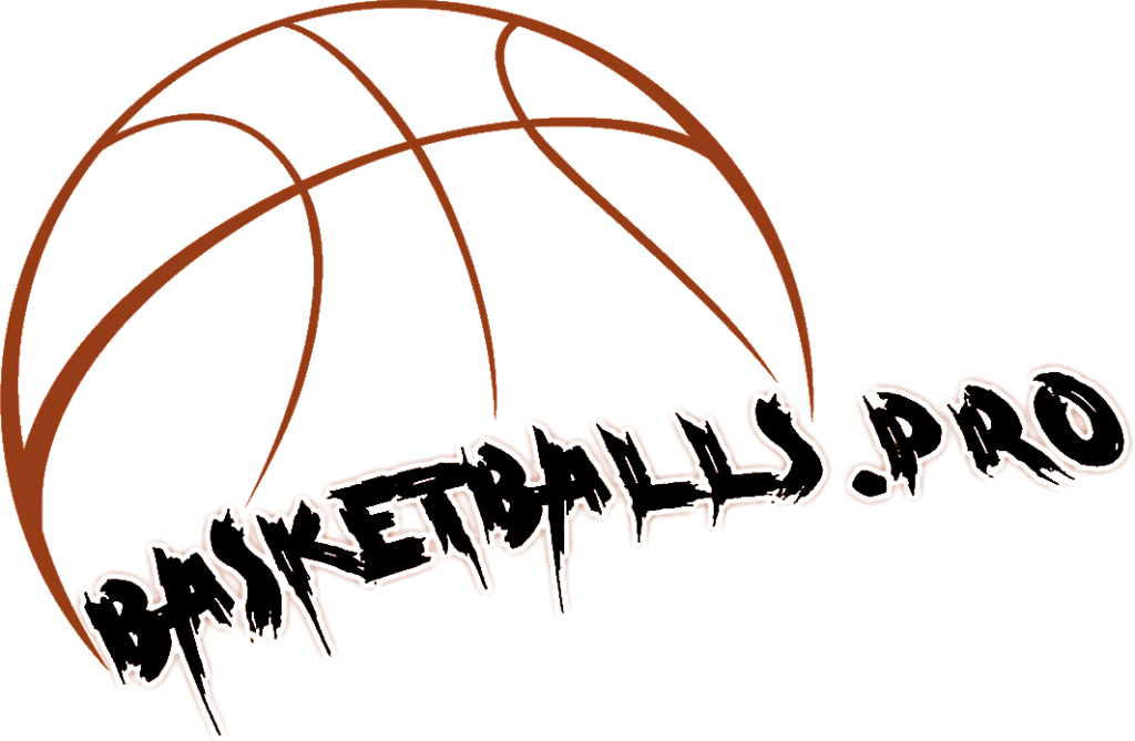 Wilson Official NBA Game Ball Review - Basketballs.pro